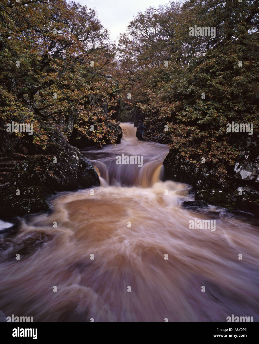 Rival Falls, river Twiss, near Ingleton, Yorkshire Dales National Park ...