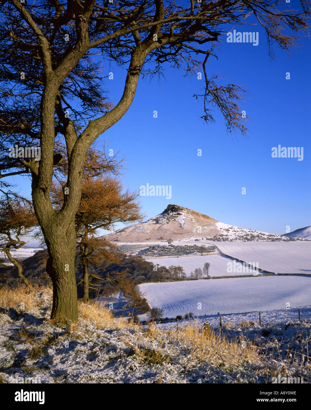 Near guisborough hi-res stock photography and images - Alamy