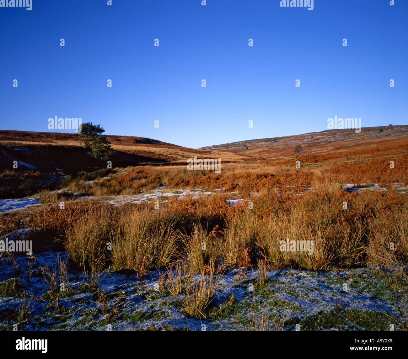 Parque nacional yorkshire moors hi-res stock photography and images - Alamy