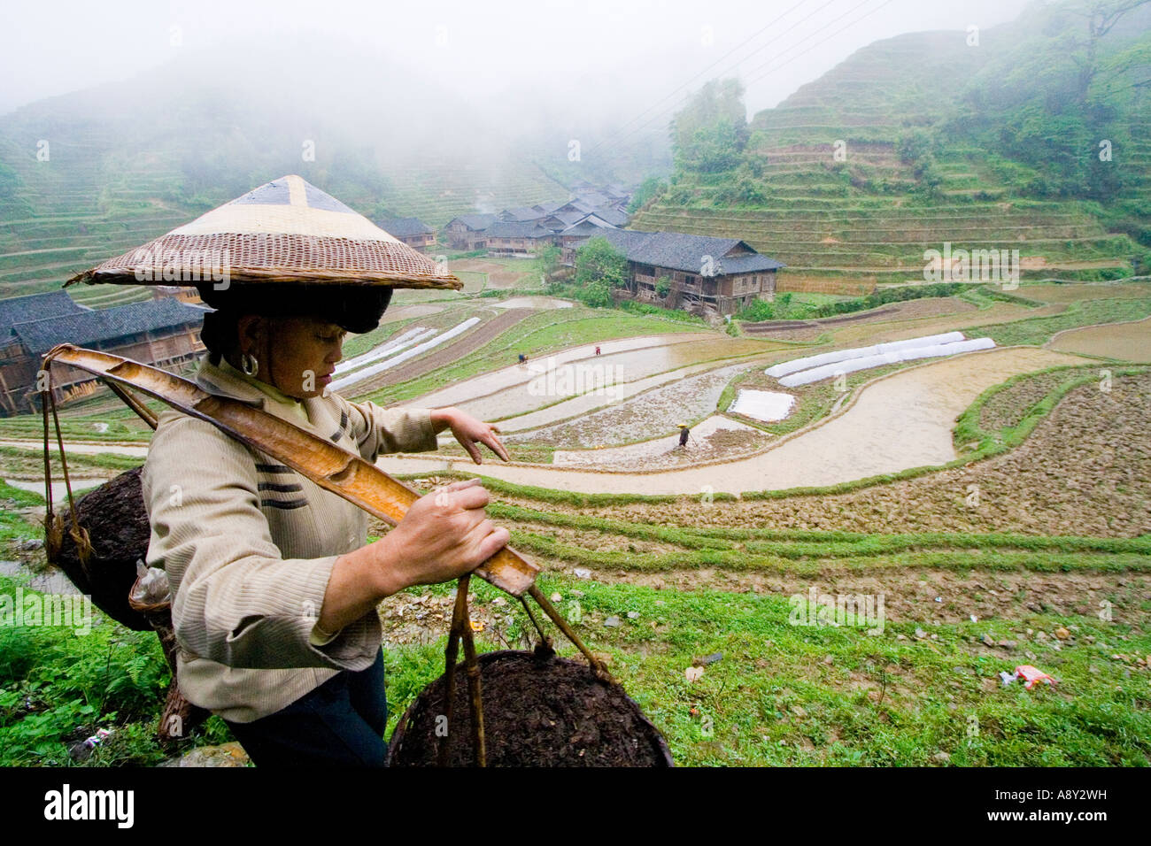 China rice planting terrace hi-res stock photography and images - Alamy