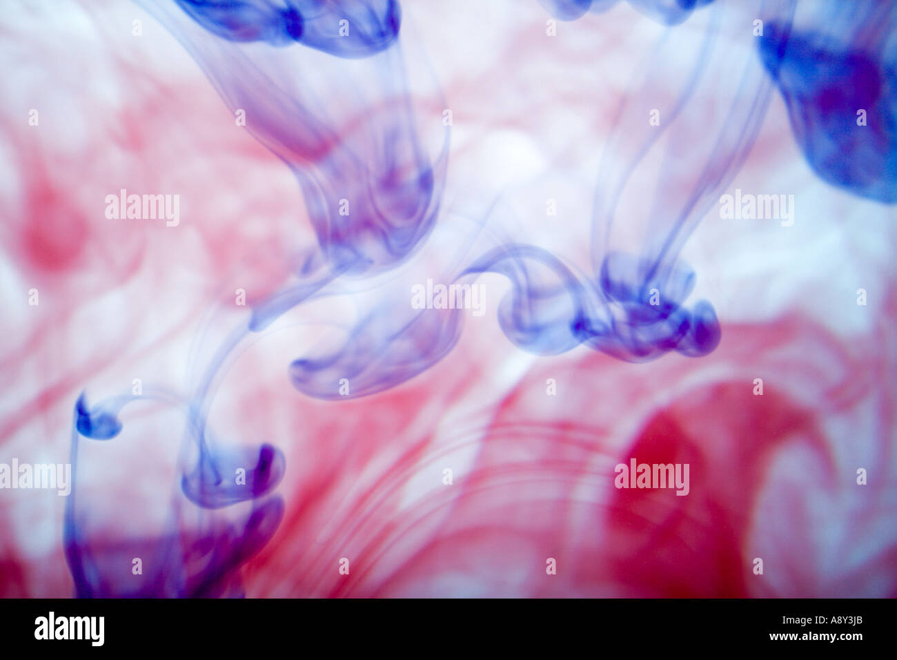 ink in water Stock Photo - Alamy