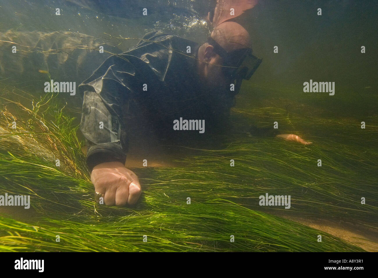 Tuba plongeur sous marin hi-res stock photography and images - Alamy