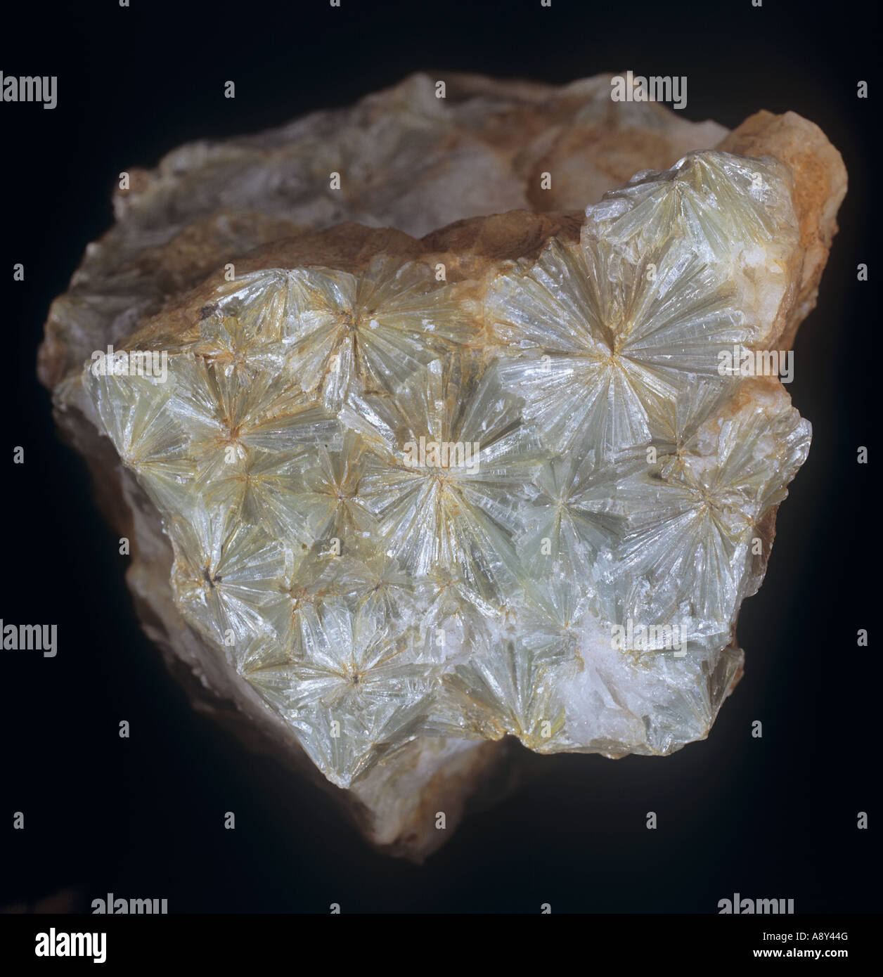 Pyrophyllite hi-res stock photography and images - Alamy