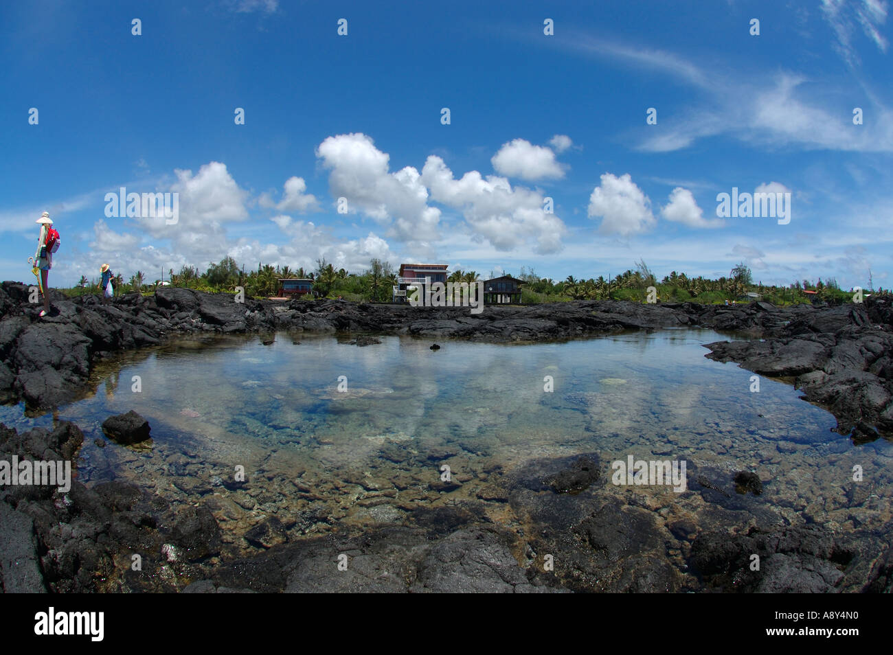 Kapoho tide pools Puna district The Big Island of Hawaii Stock Photo ...