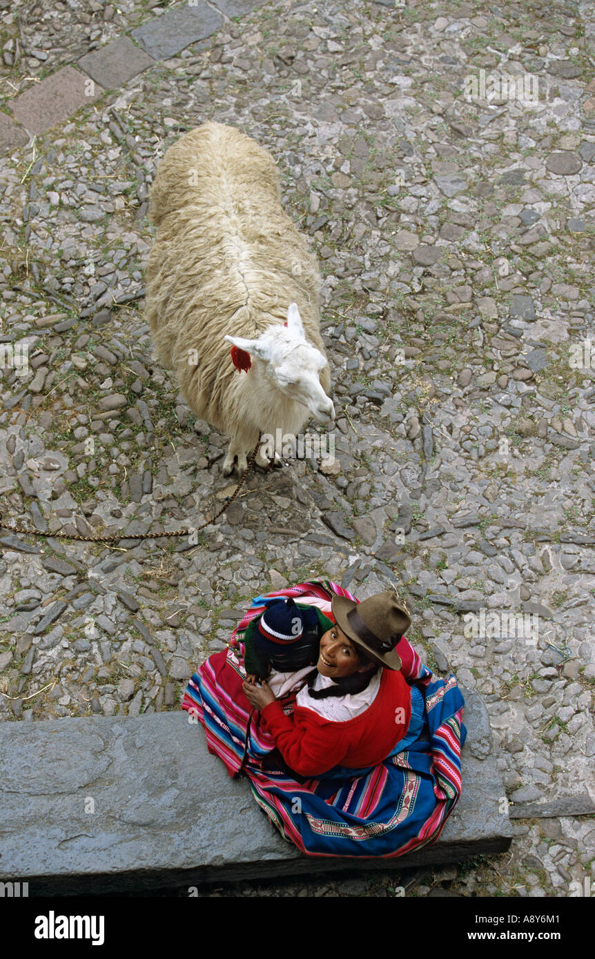 Llama (Lama lama) and a Peruvian mother carrying her child (Peru). Lama ...