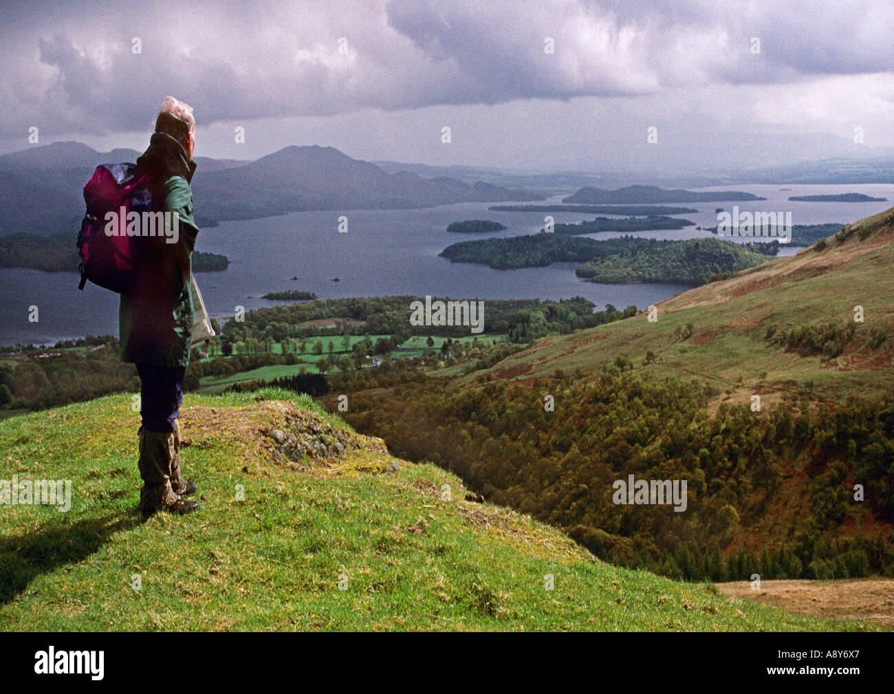 Coille hi-res stock photography and images - Alamy