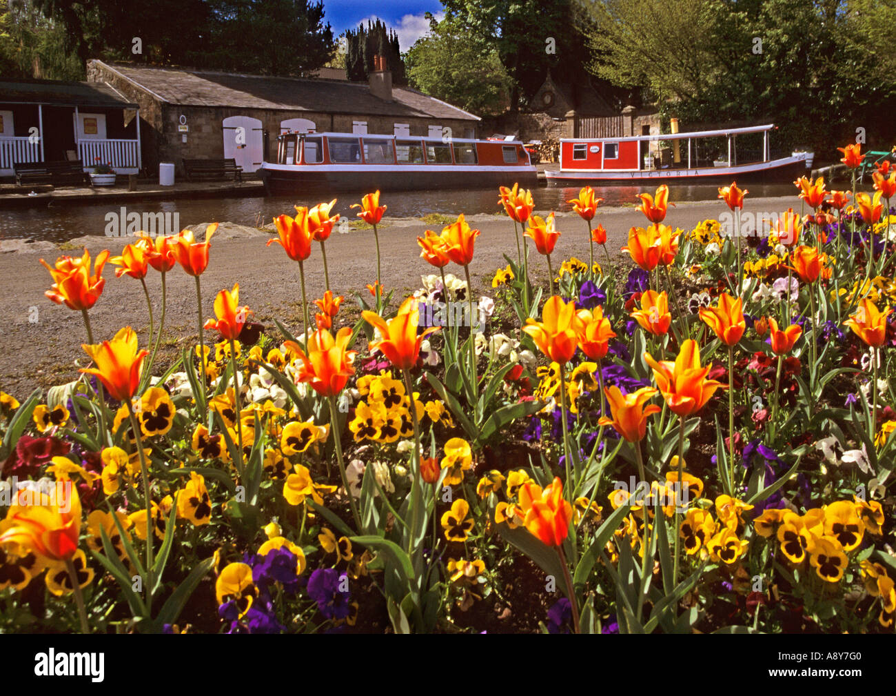 Canal Boats and flower beds at Linlithgow Canal Basin on the Union ...