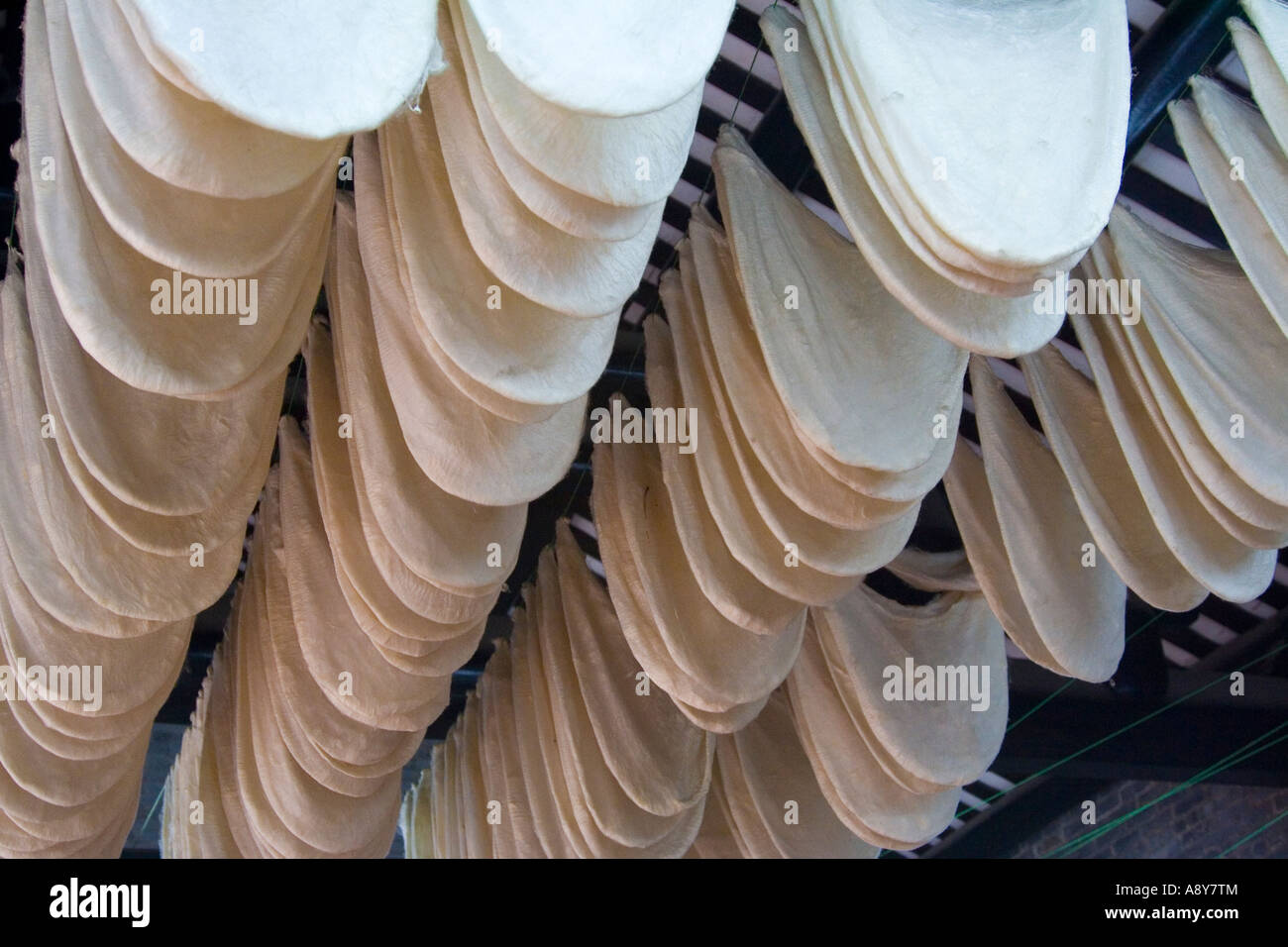 Silk Cocoon Drying Guangzhou China Stock Photo - Alamy