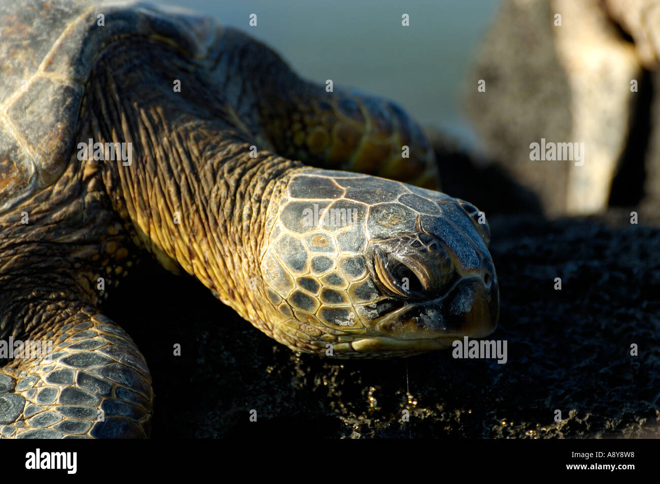 Sunset kailua bay hi-res stock photography and images - Alamy