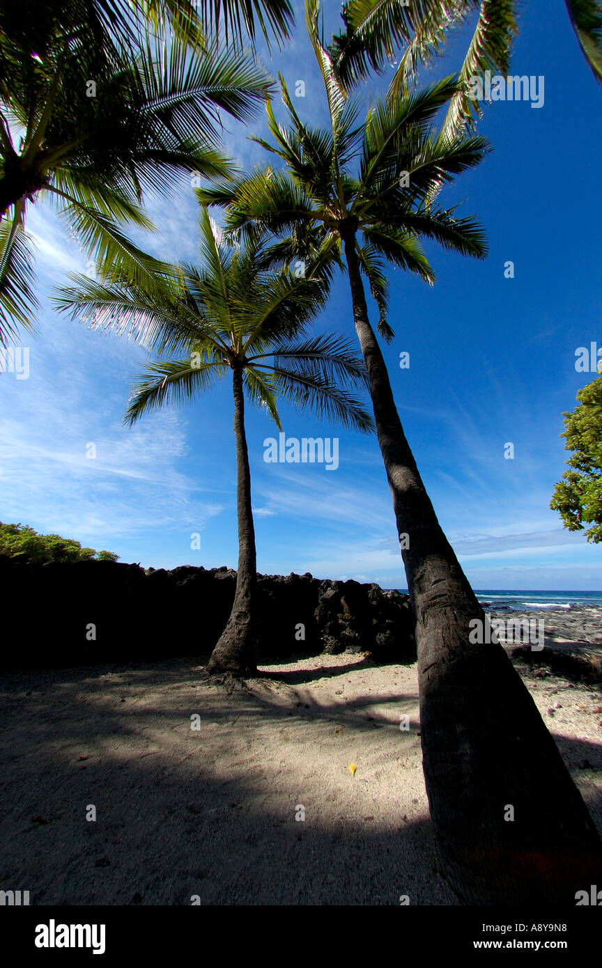 Honokahau coast hi-res stock photography and images - Alamy