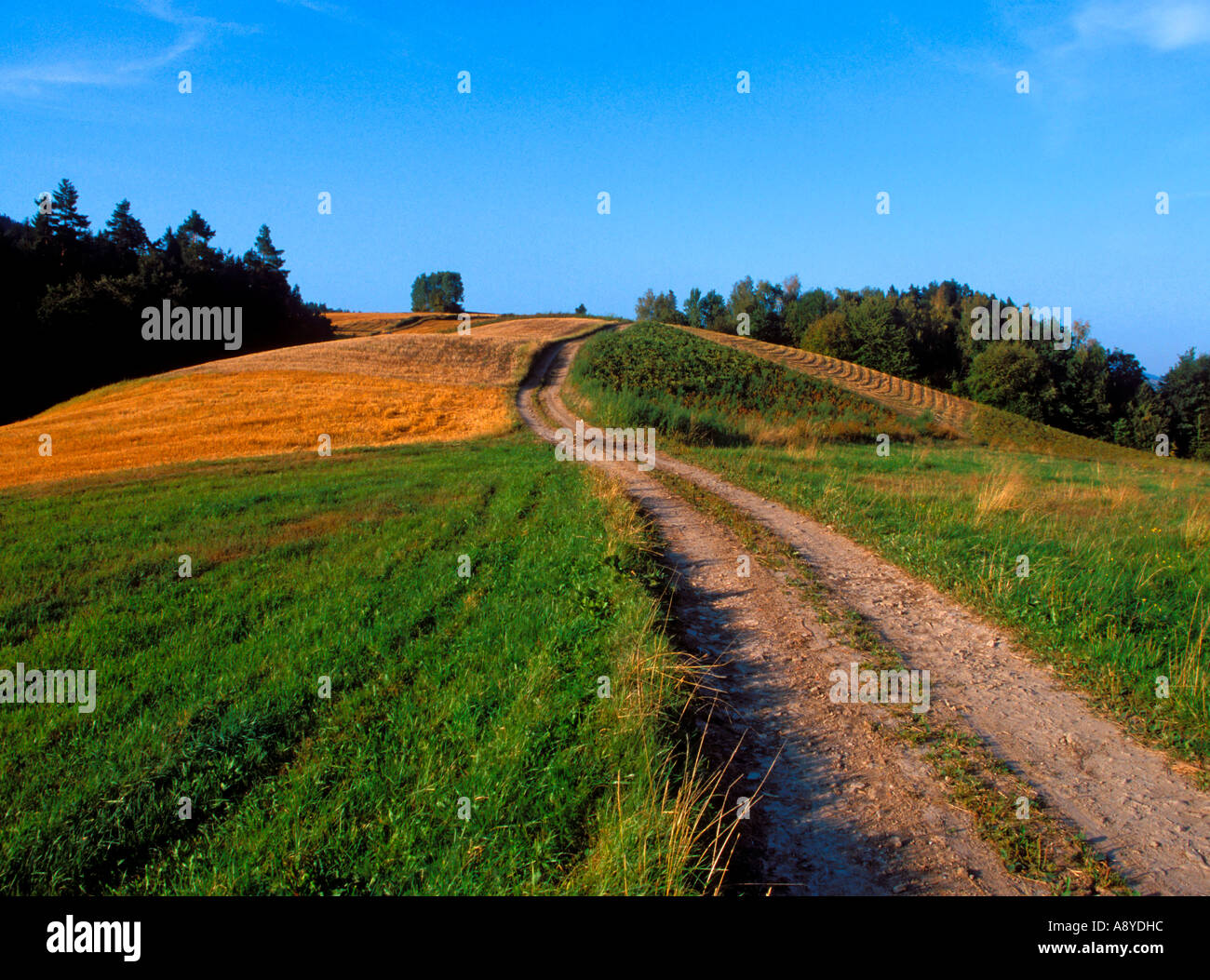Road going up Stock Photo - Alamy