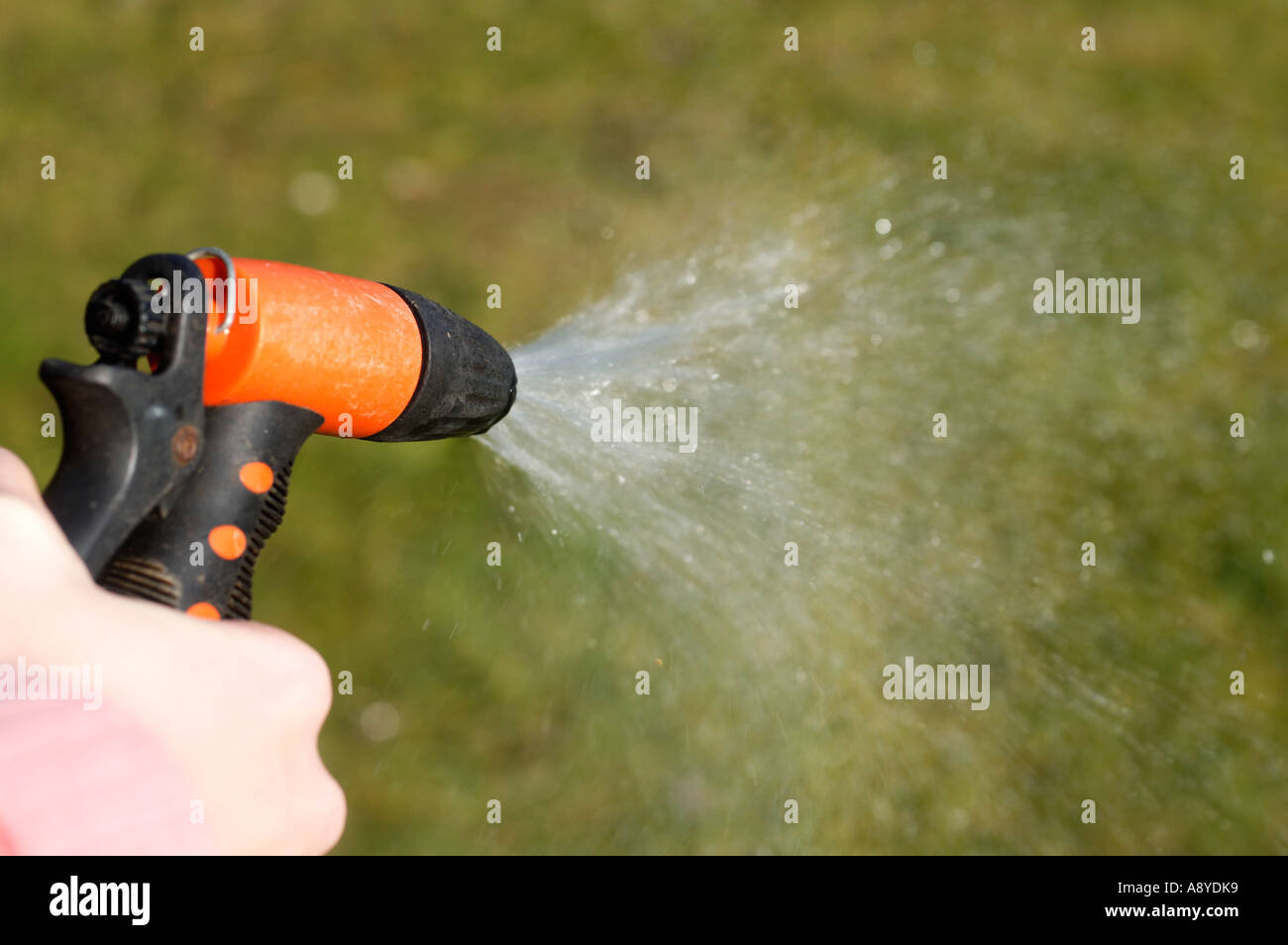 Woman watering lawn with hose pipe Stock Photo - Alamy