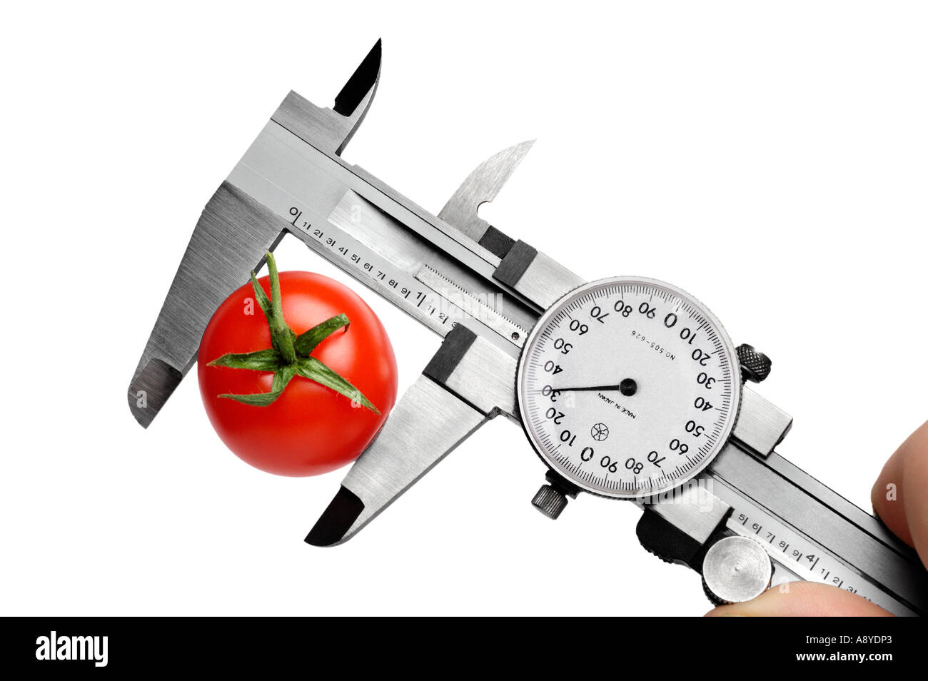 Tomato being measured in engineering calipers Stock Photo - Alamy