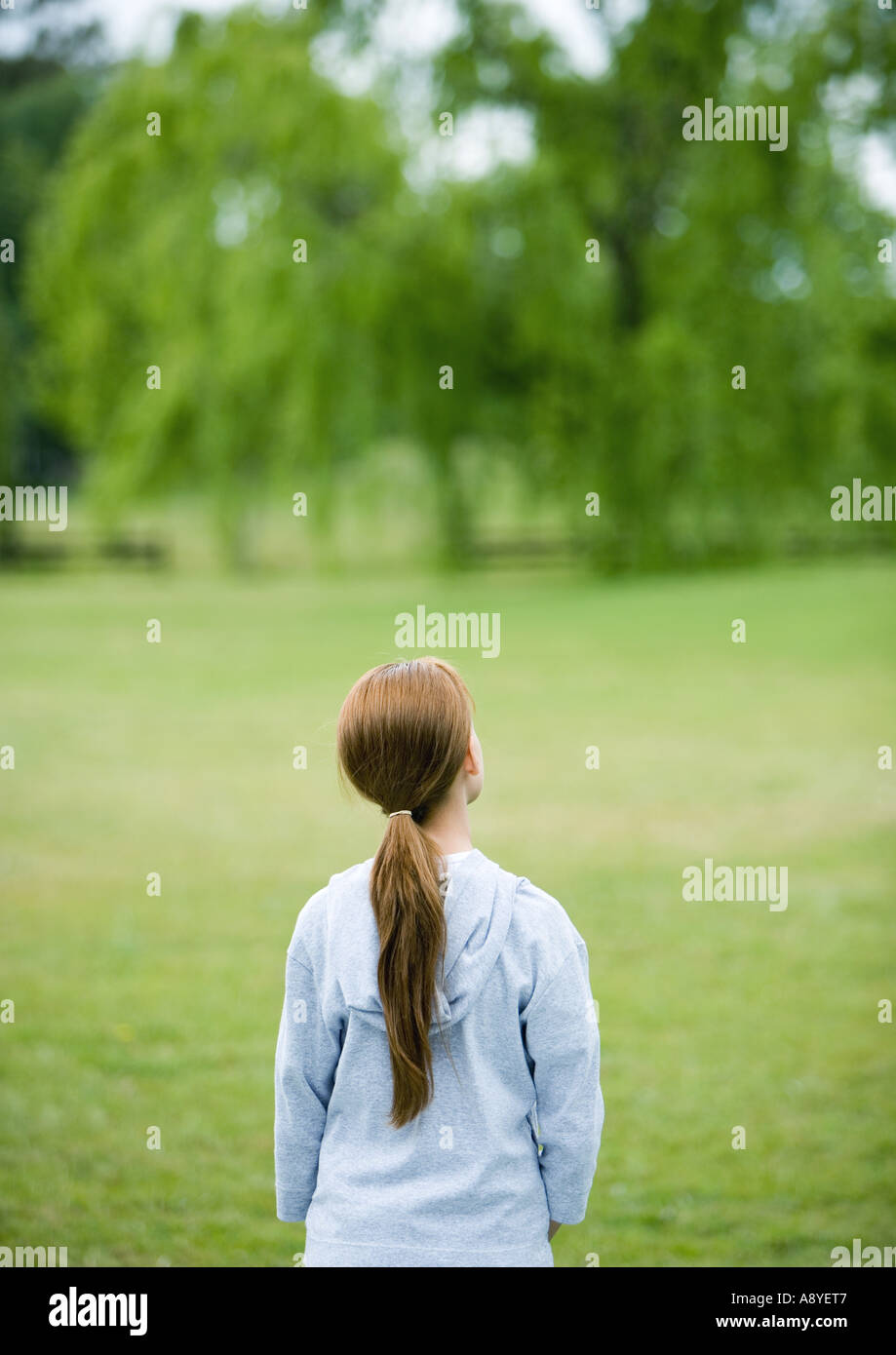 Girl looking out over field, rear view Stock Photo - Alamy