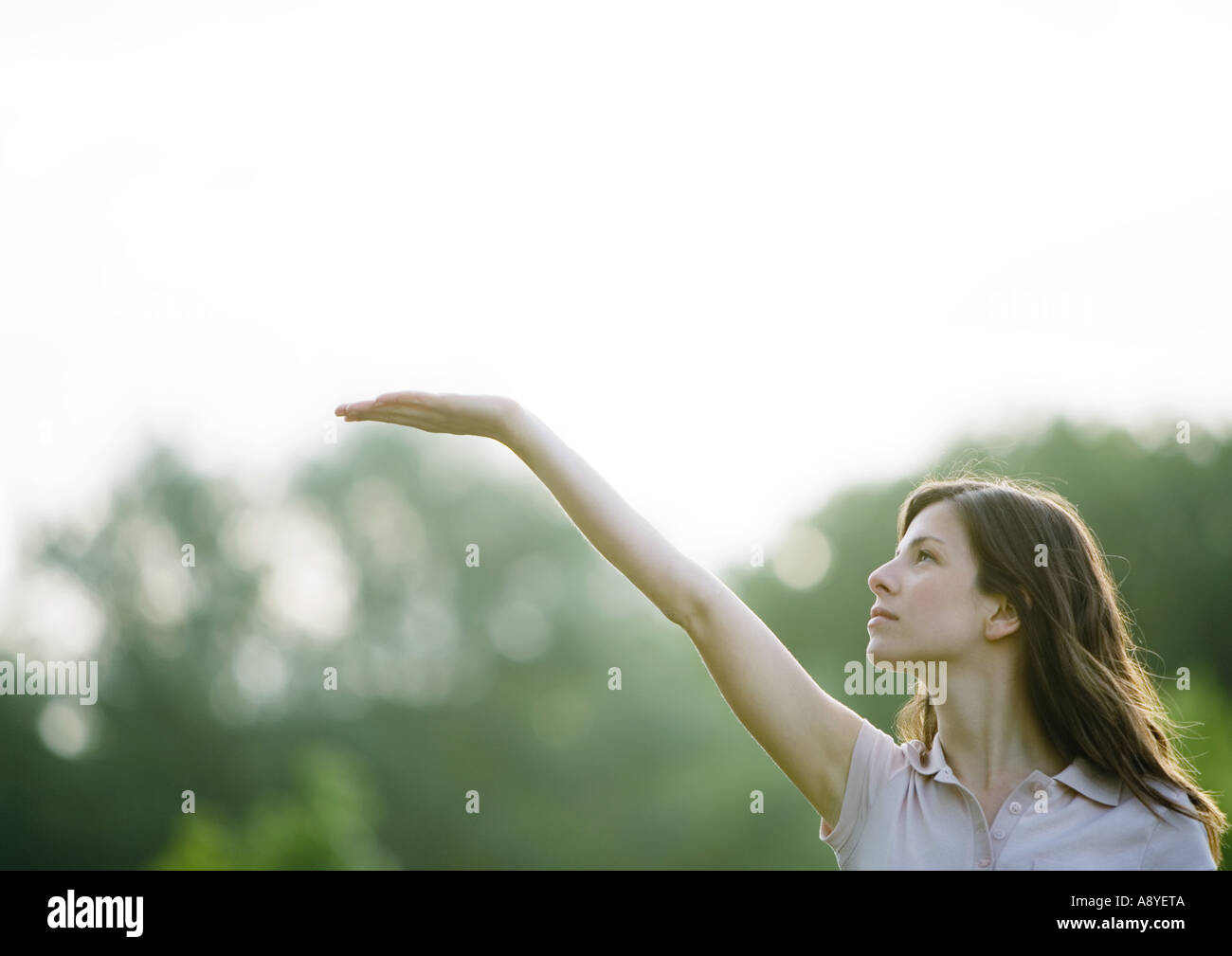 Woman holding palm up Stock Photo - Alamy