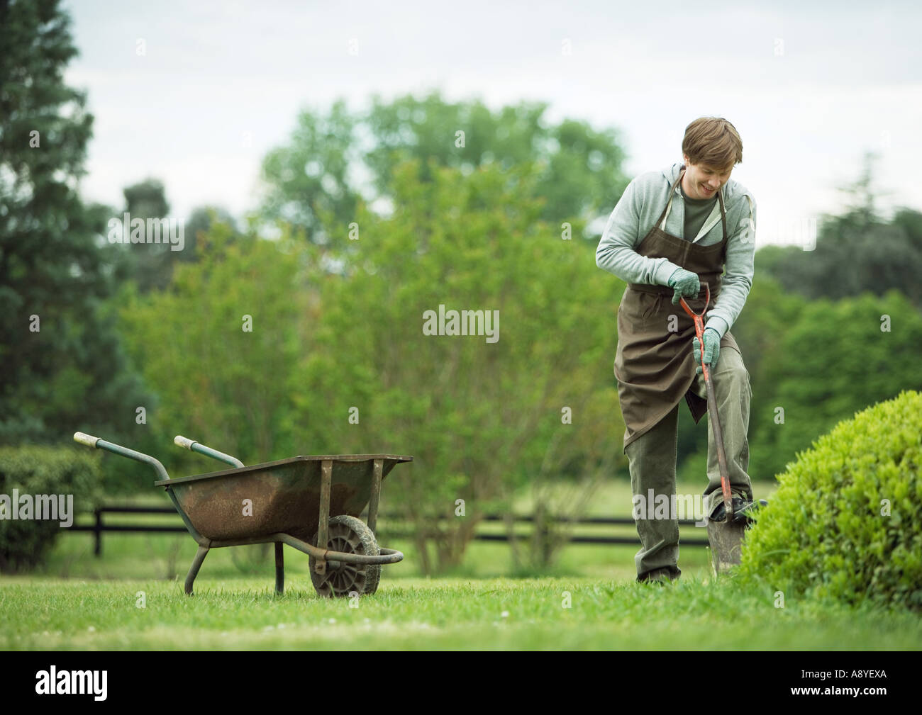 Man digging in yard with shovel Stock Photo - Alamy