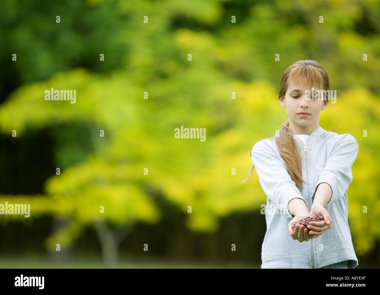 Girl holding out cupped hands Stock Photo - Alamy