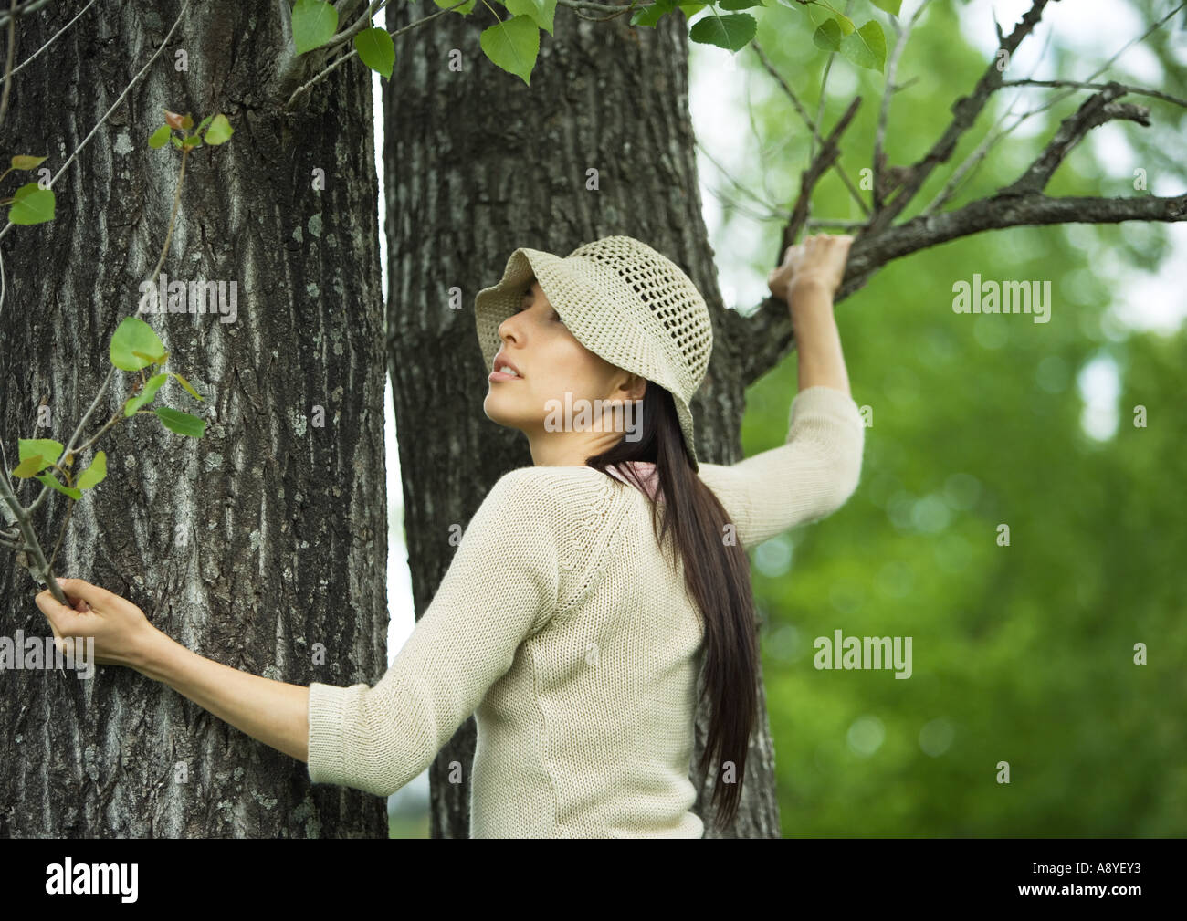 One woman touch tree branch hi-res stock photography and images - Alamy