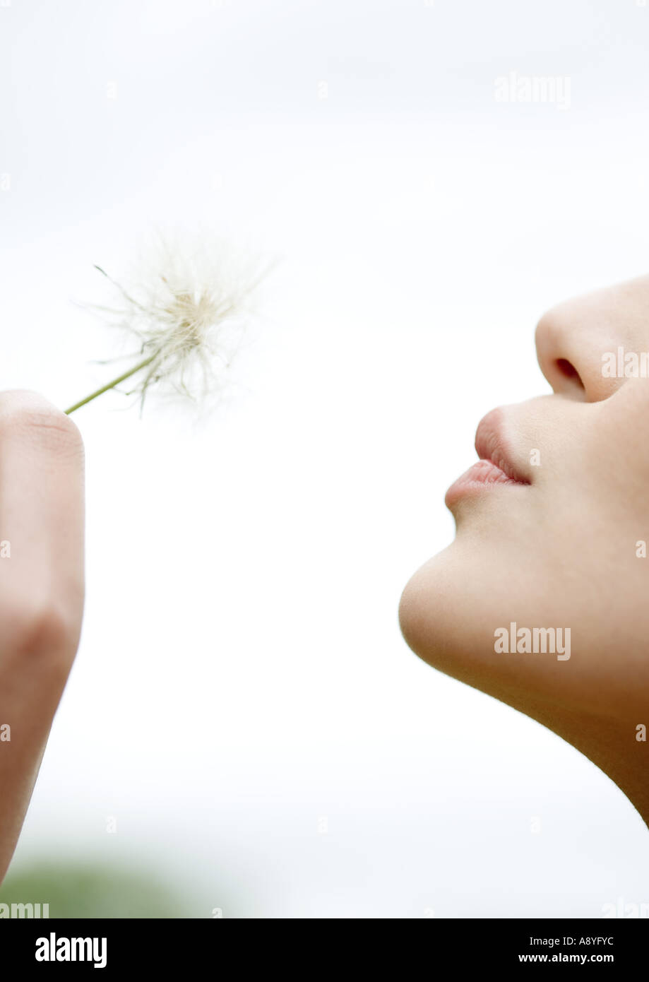 Woman blowing dandelion, close-up Stock Photo - Alamy
