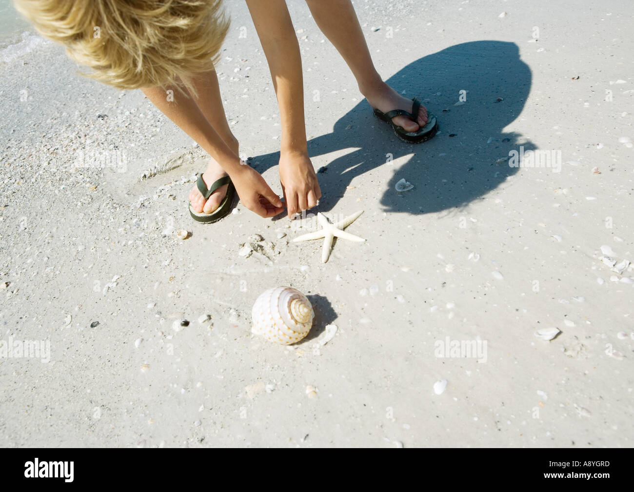Kids picking seashells hi-res stock photography and images - Alamy