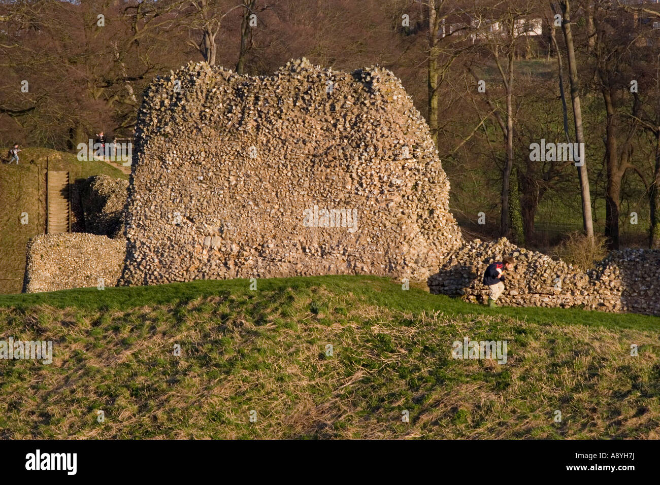 Berkhamsted Castle, Herts Stock Photo - Alamy