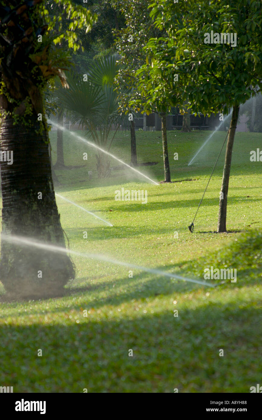 Water sprinklers in park watering hi-res stock photography and images ...