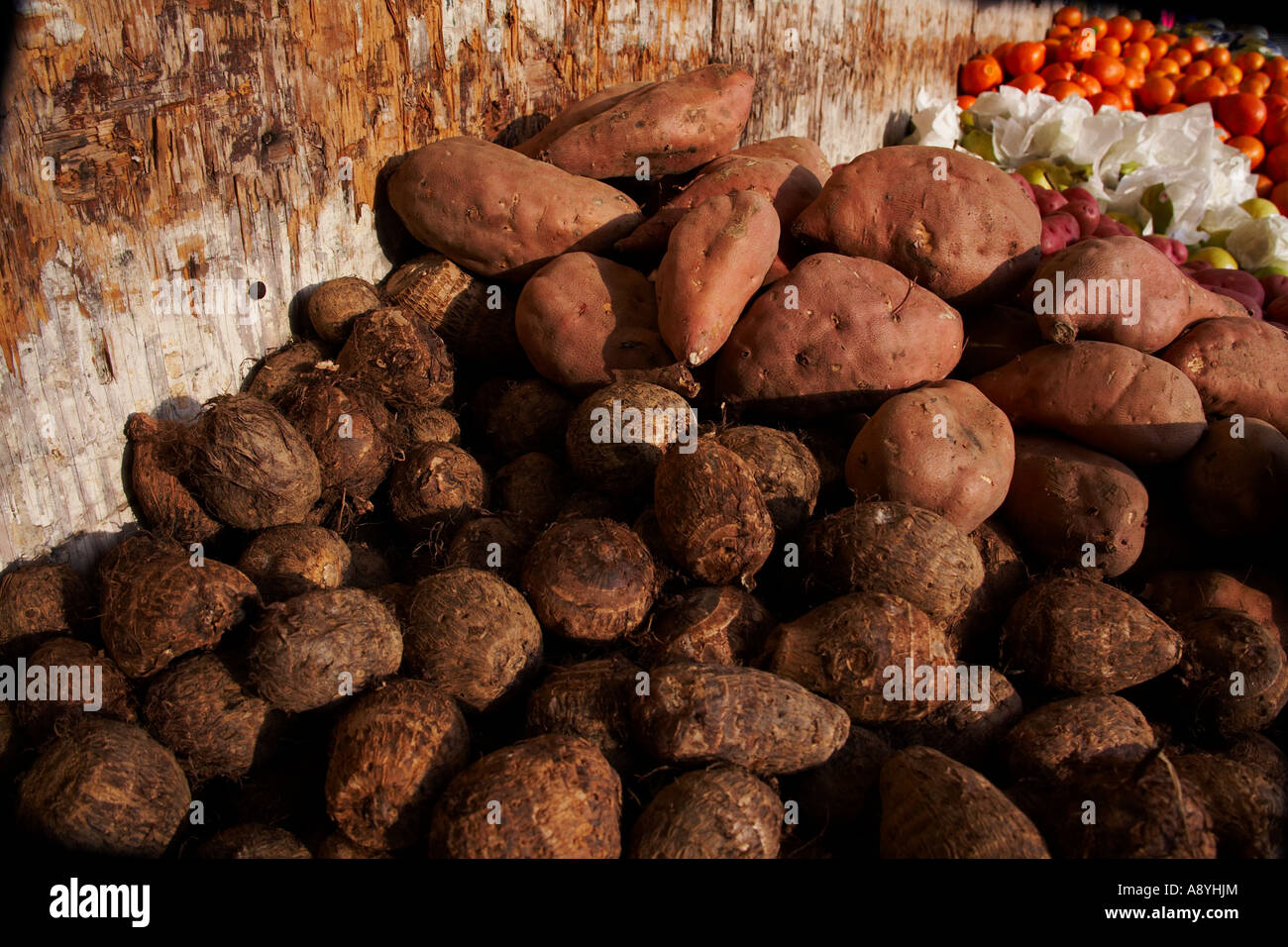 Stable root hi-res stock photography and images - Alamy