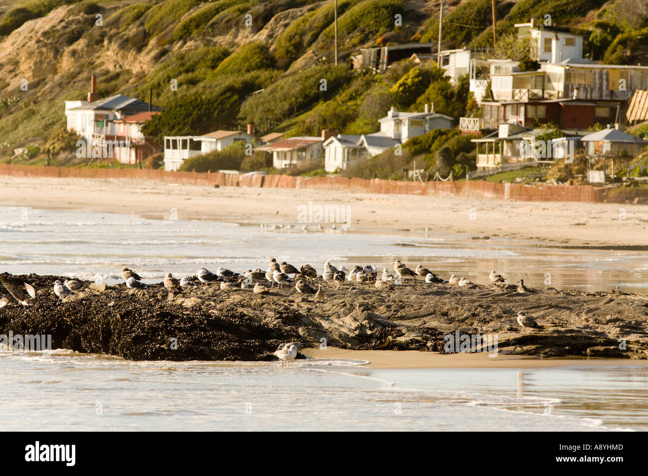 Crystal cove state park laguna hi-res stock photography and images - Alamy