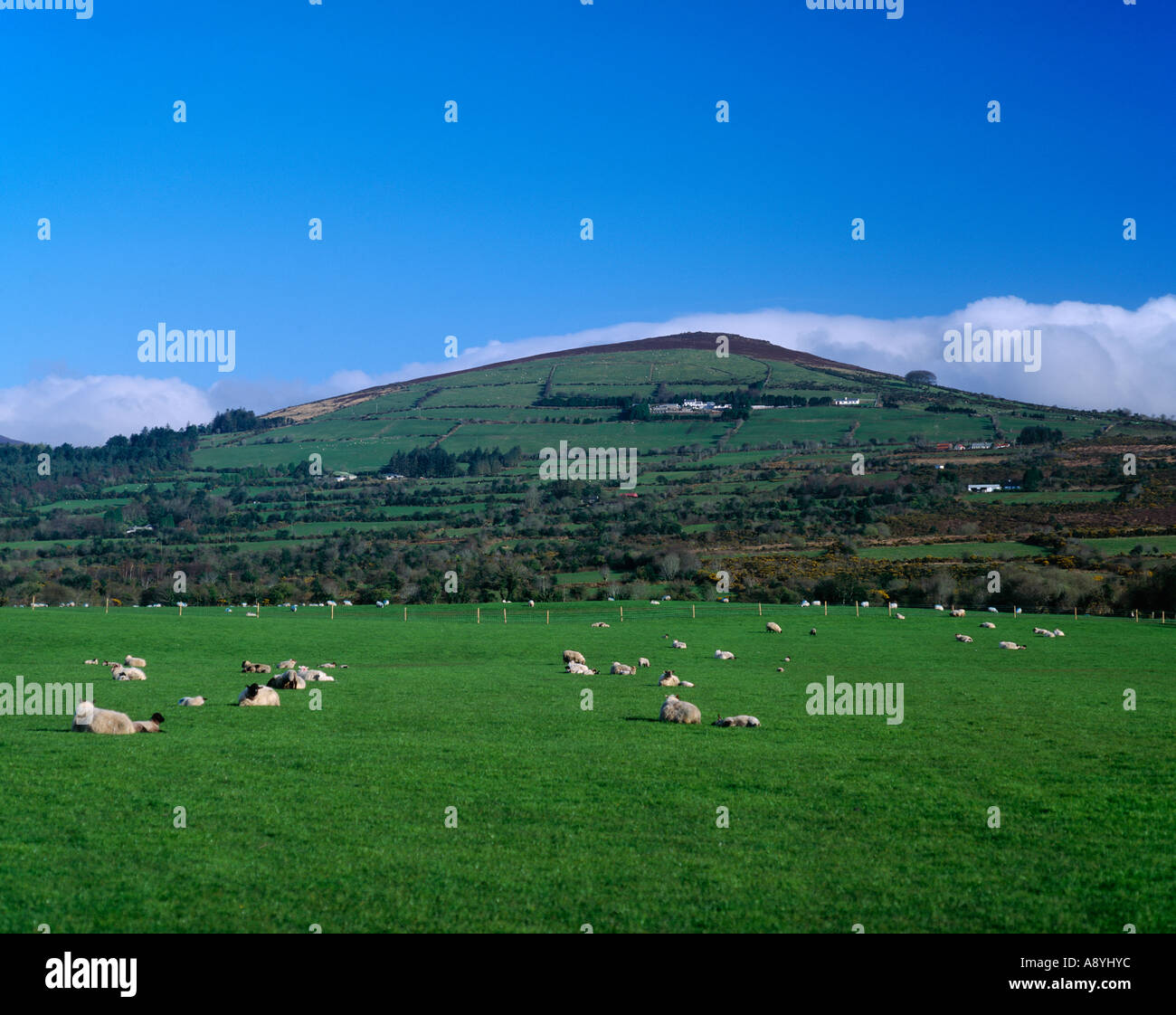 Galtymore hi-res stock photography and images - Alamy