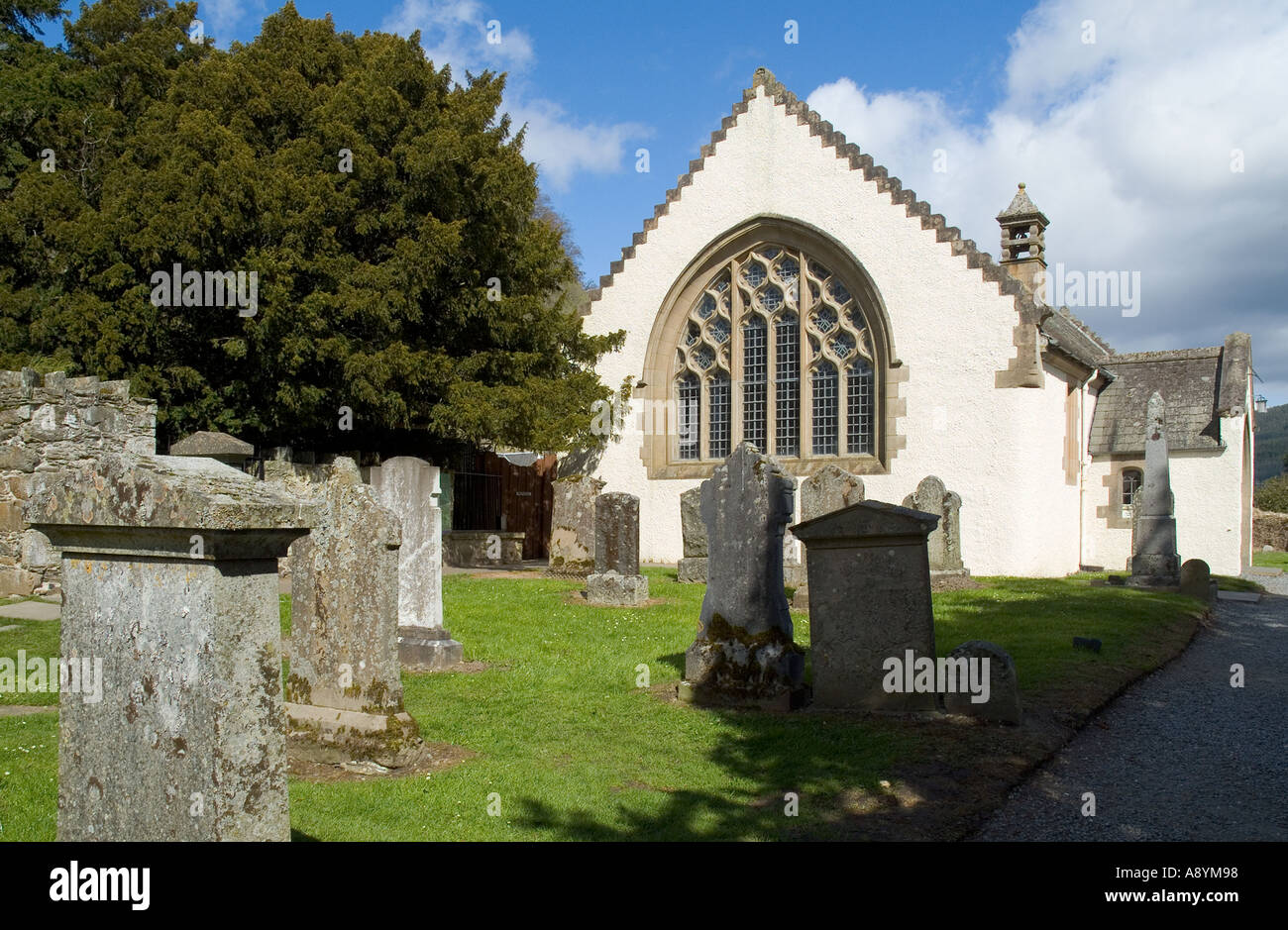 dh Yew Tree FORTINGALL PERTHSHIRE Scotland 5000 year old Europes oldest ...