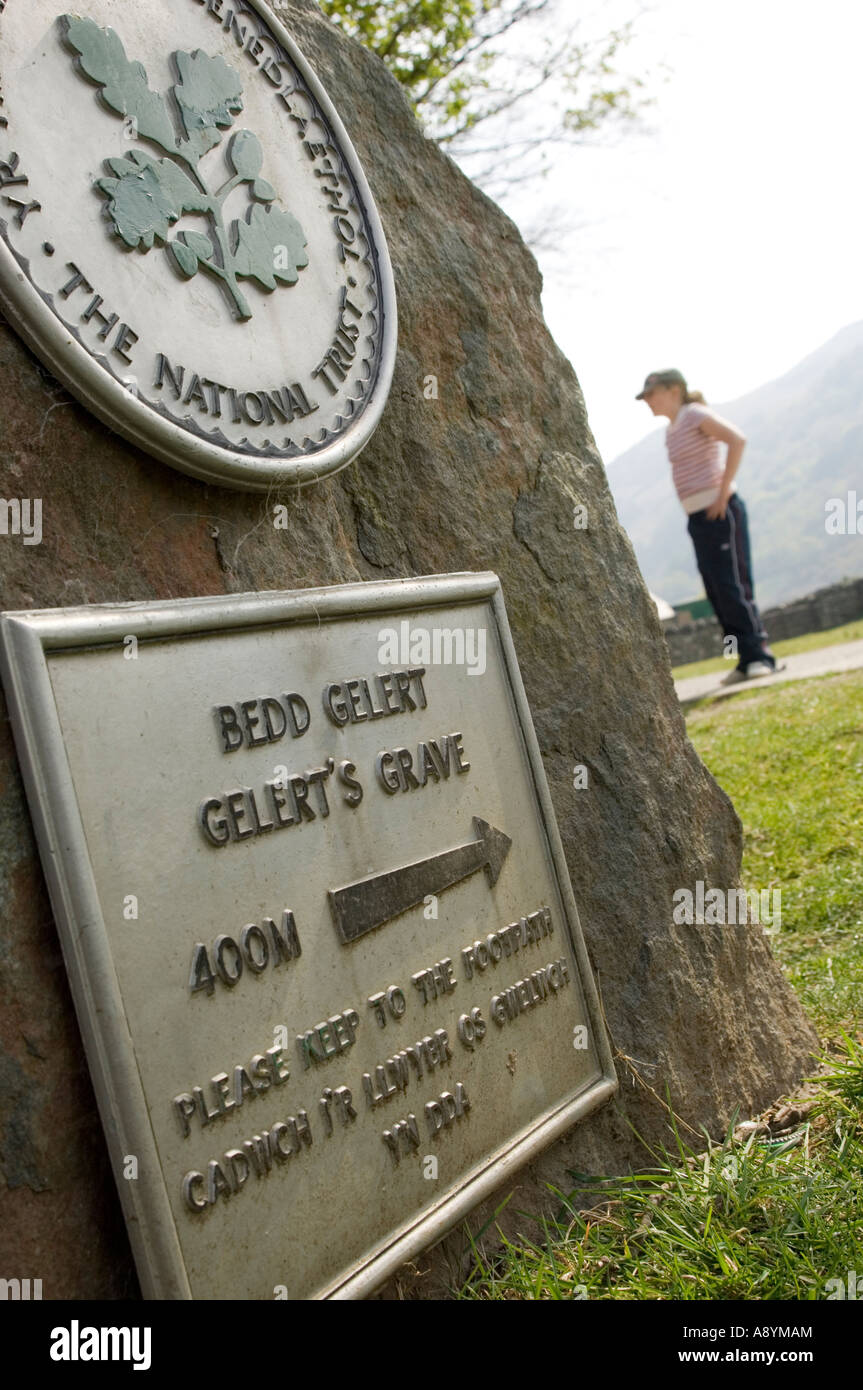 A Snowdonia national park sign by footpath Beddgelert snowdonia ...