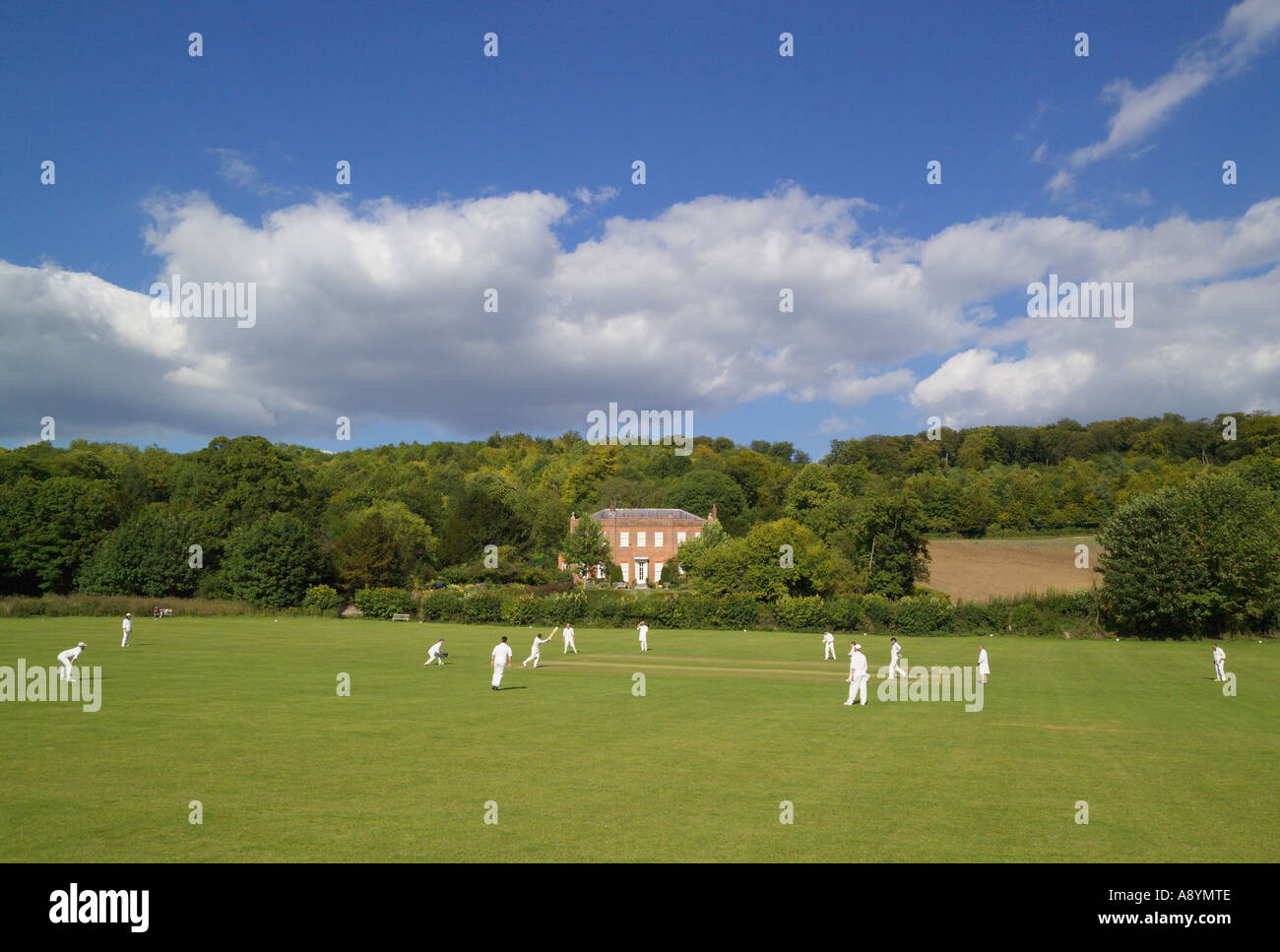 Nettlebed hi-res stock photography and images - Alamy
