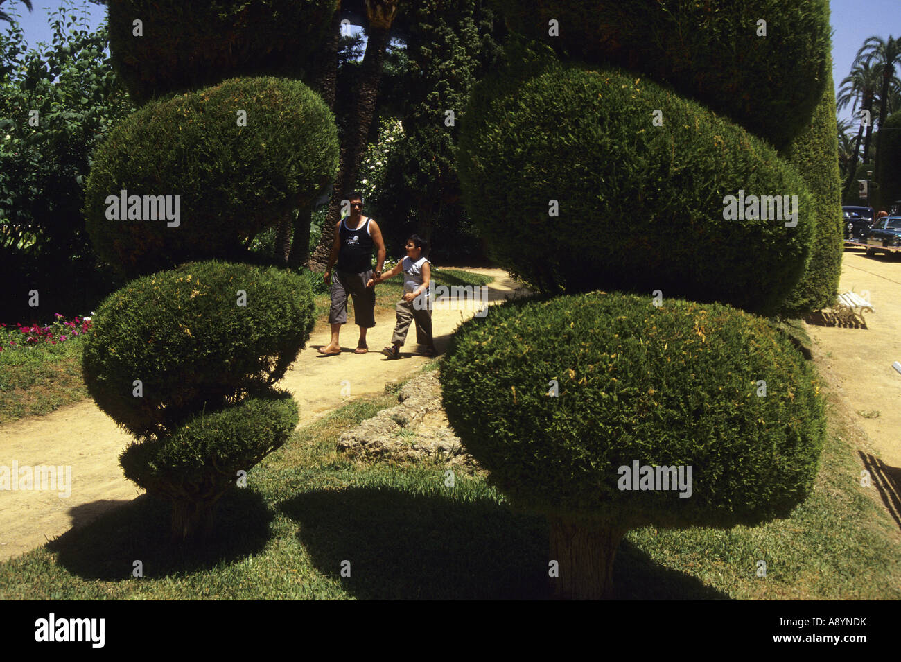 Genoves Park CADIZ city Cadiz province Andalusia Spain Stock Photo - Alamy