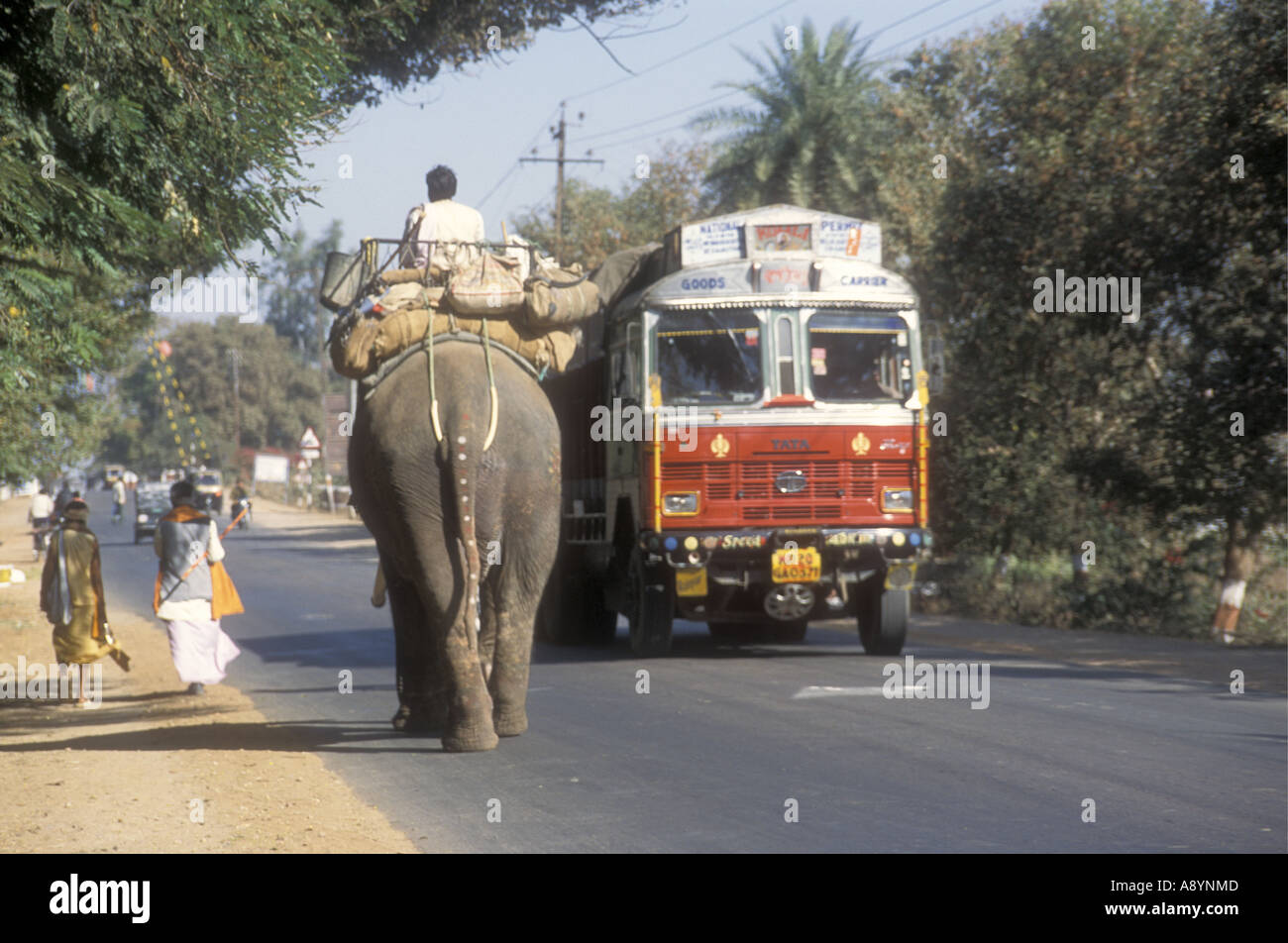 Lorry carrying an elephant hi-res stock photography and images - Alamy