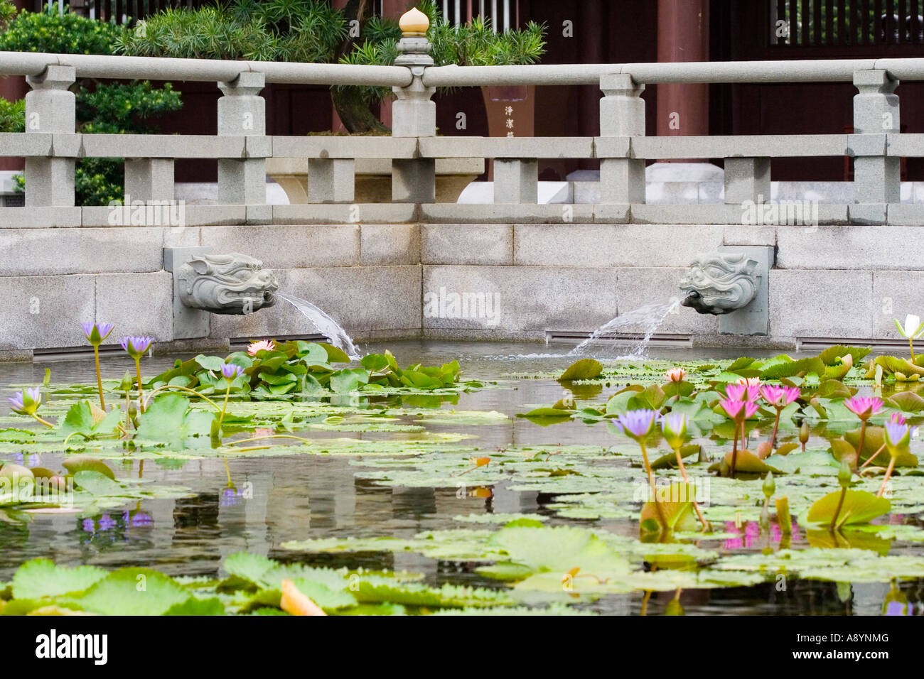 Temple nunnery lotus pond buddhism hi-res stock photography and images ...