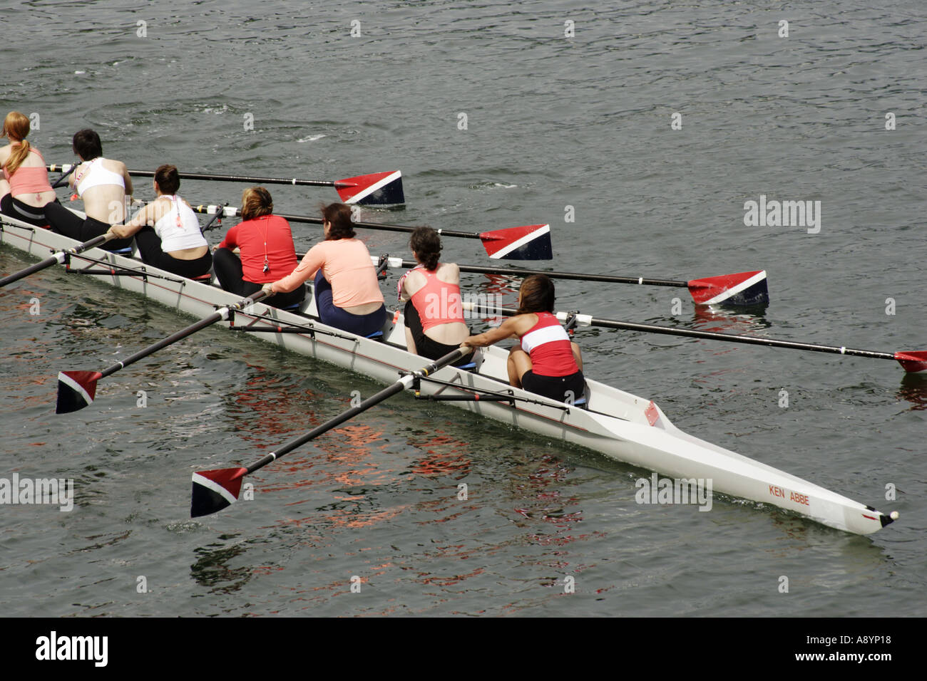 British rowing competition hi-res stock photography and images - Alamy