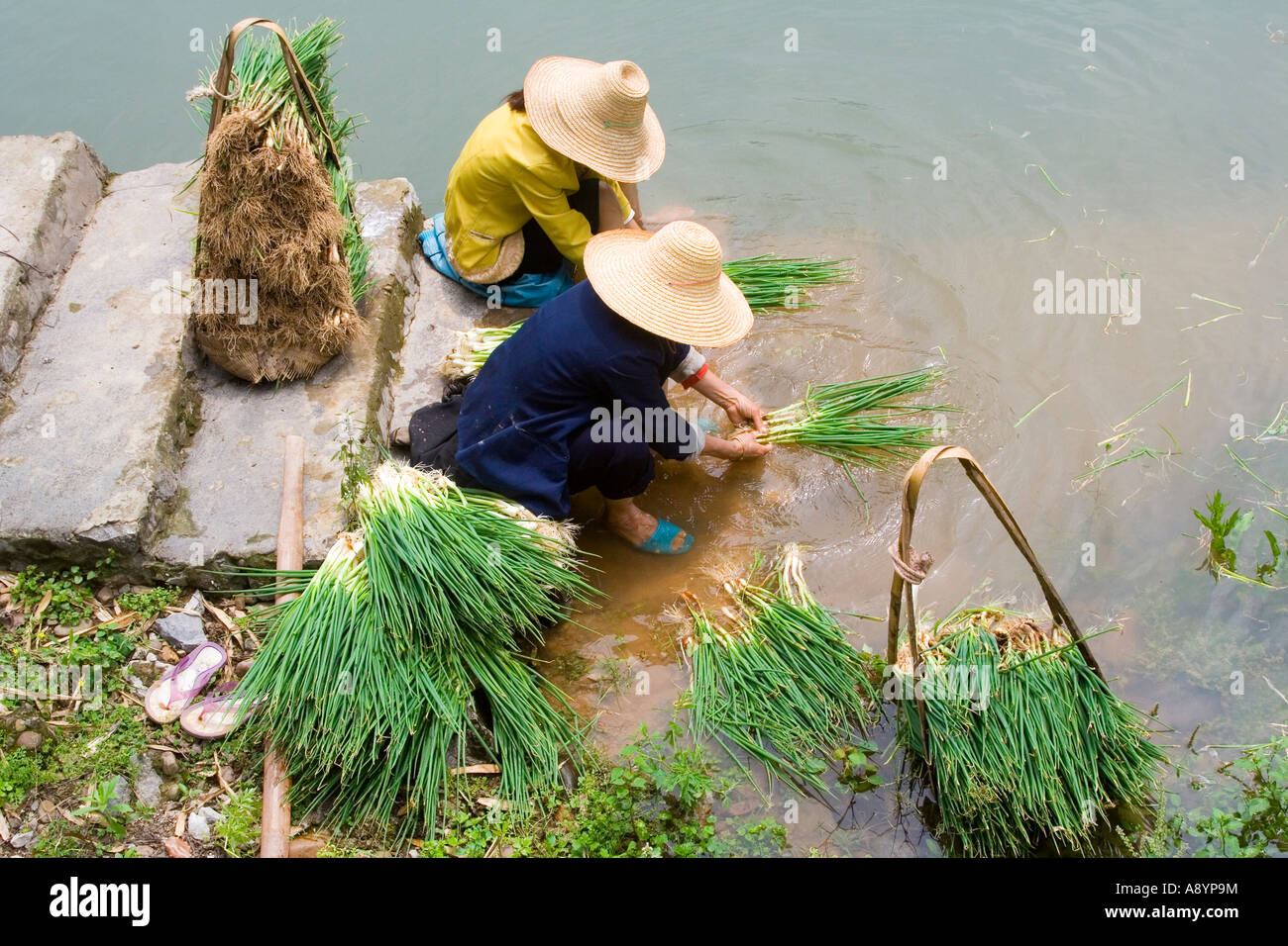 China river cleaning hi-res stock photography and images - Alamy