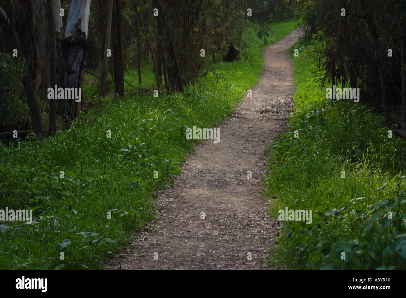 Monarch butterfly trail hi-res stock photography and images - Alamy