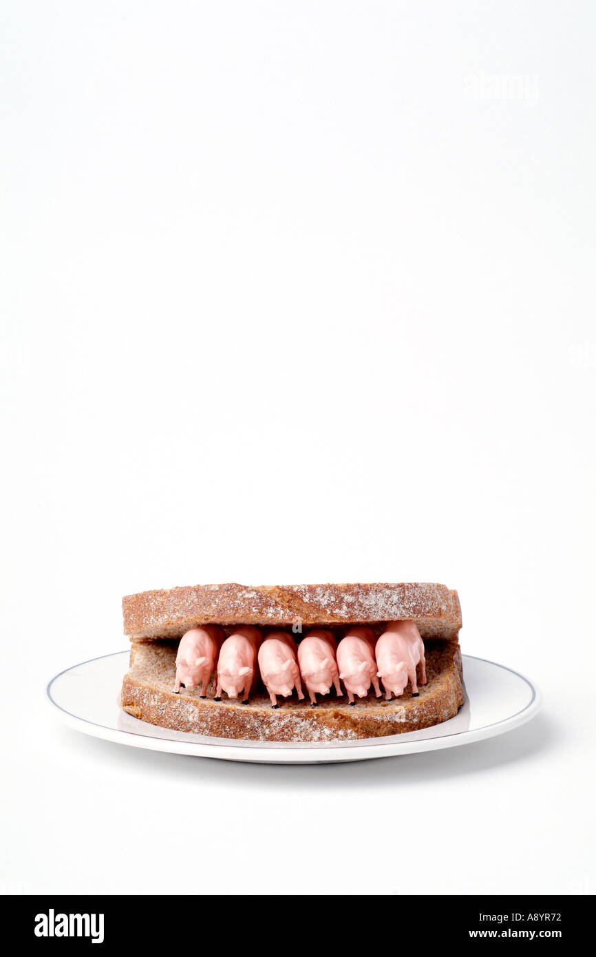 bacon sandwich pig pork animal farm farming food veggie vegetarian ...