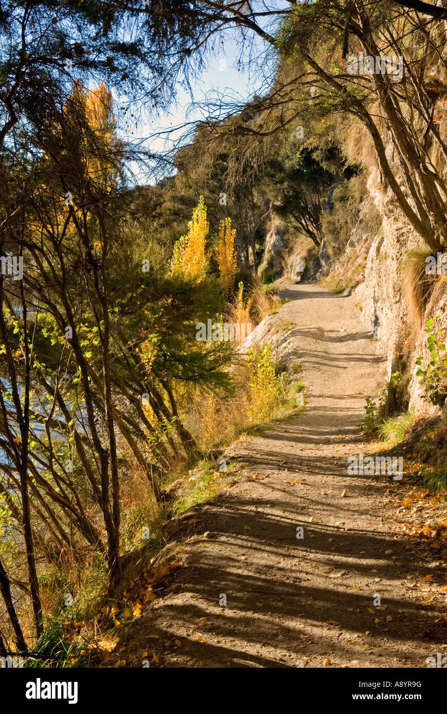 Lake Wanaka Outlet Walk in Autumn The walk follows the edge of the ...