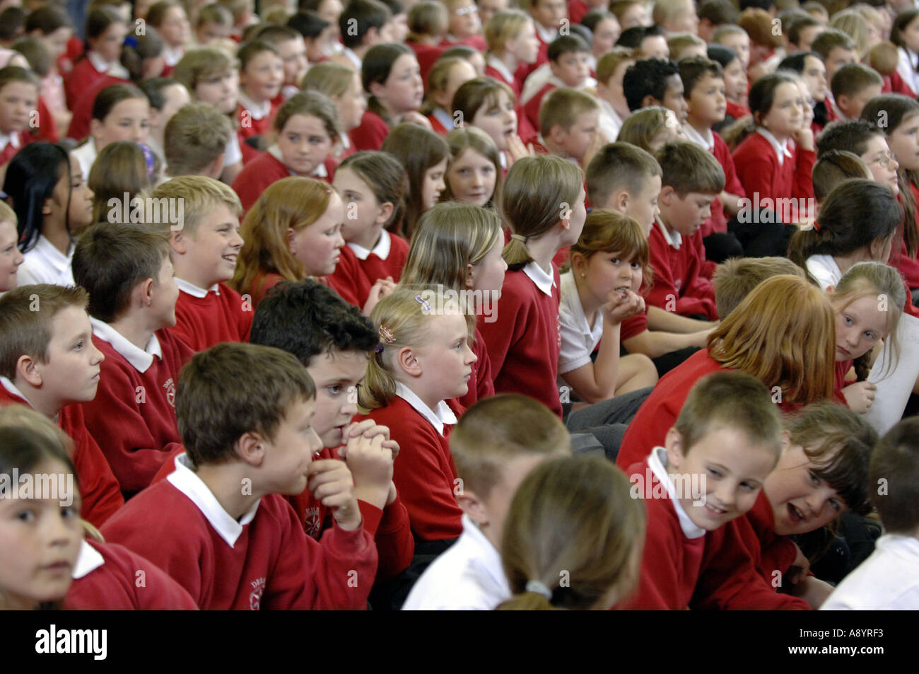 students listening in school assembly Stock Photo - Alamy