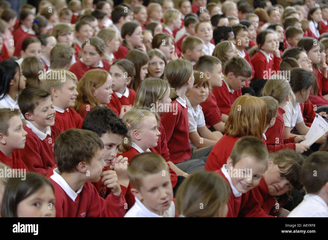 students listening in school assembly Stock Photo - Alamy