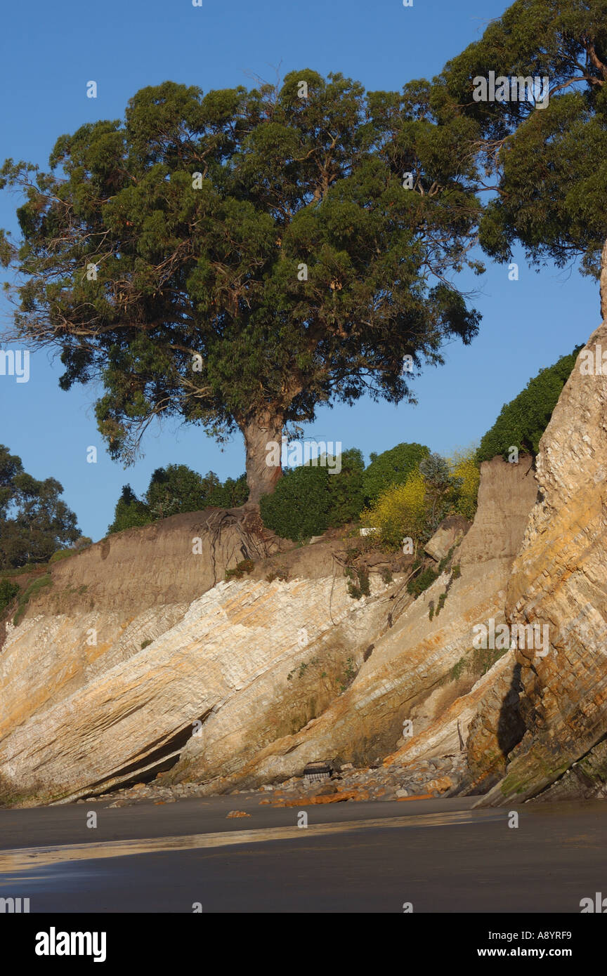 Santa barbara leadbetter beach hi-res stock photography and images - Alamy