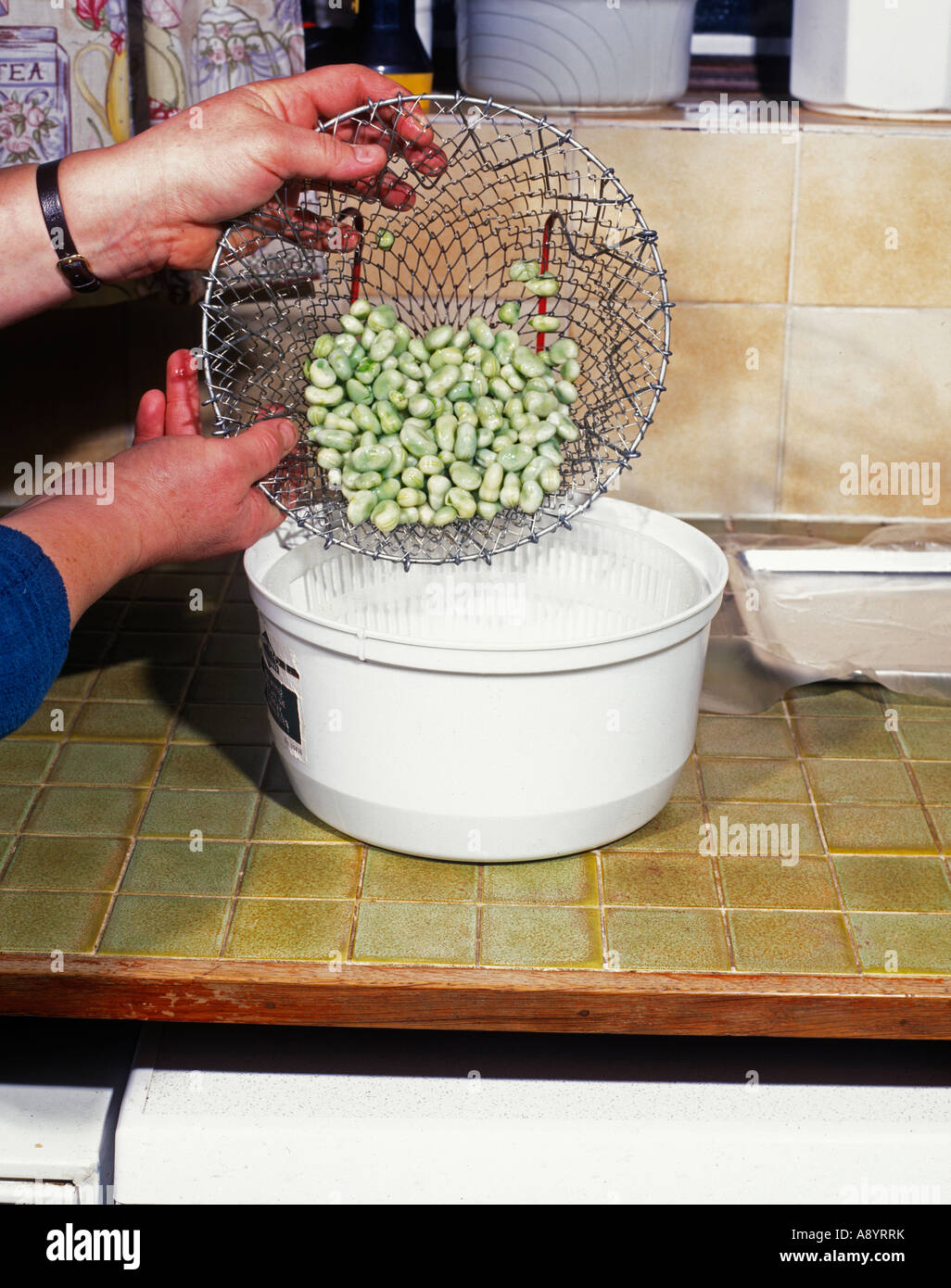 PRESERVING VEGETABLES TIP COOLED BROAD BEANS INTO SPINNER TO REMOVE ...