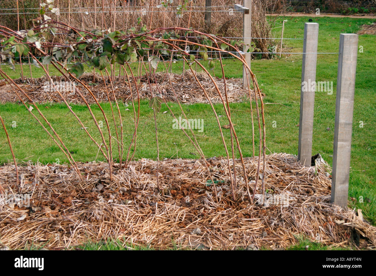 Bending techniques hi-res stock photography and images - Alamy