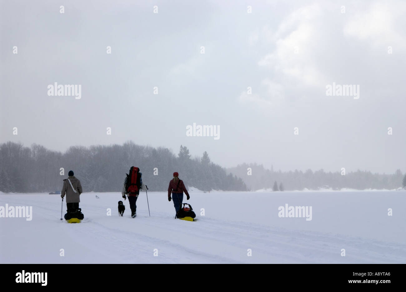 Adult active lifestyle, winter activities Stock Photo - Alamy