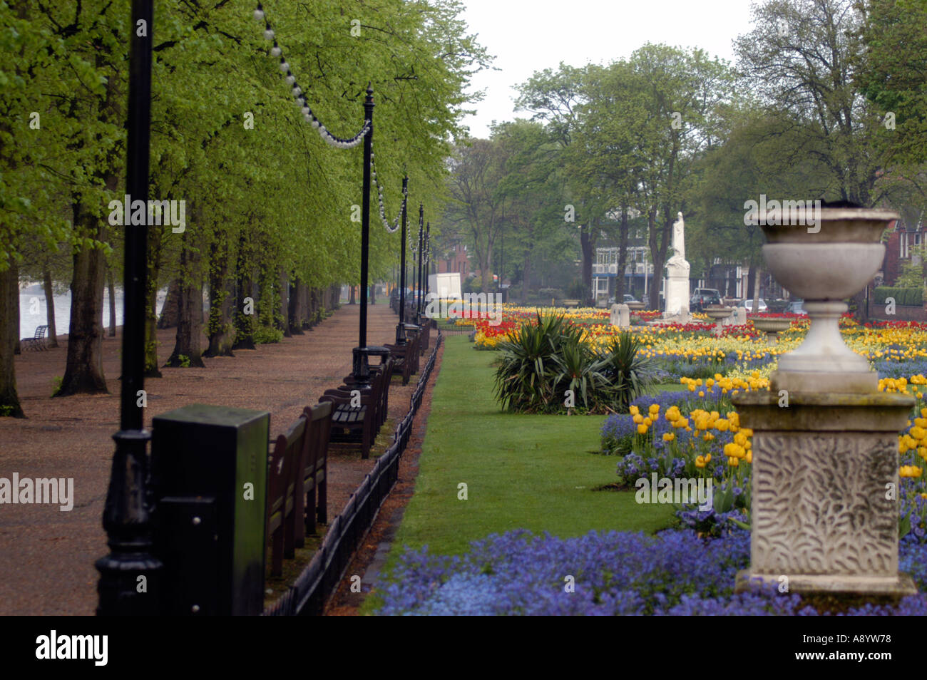 flower display along the river ouse embankment bedford with a avenue of ...