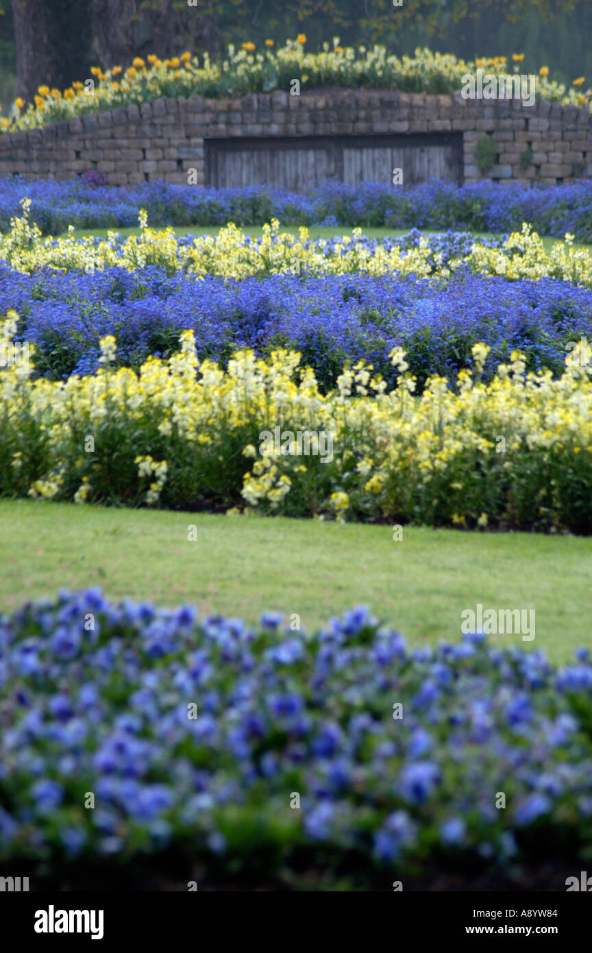 flower display along the river ouse embankment bedford with a avenue of ...