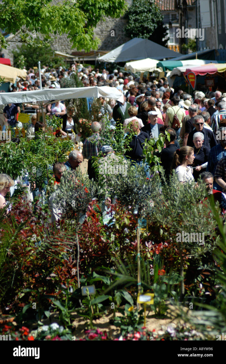 french flower and plant show and horticultural display in st jean de ...