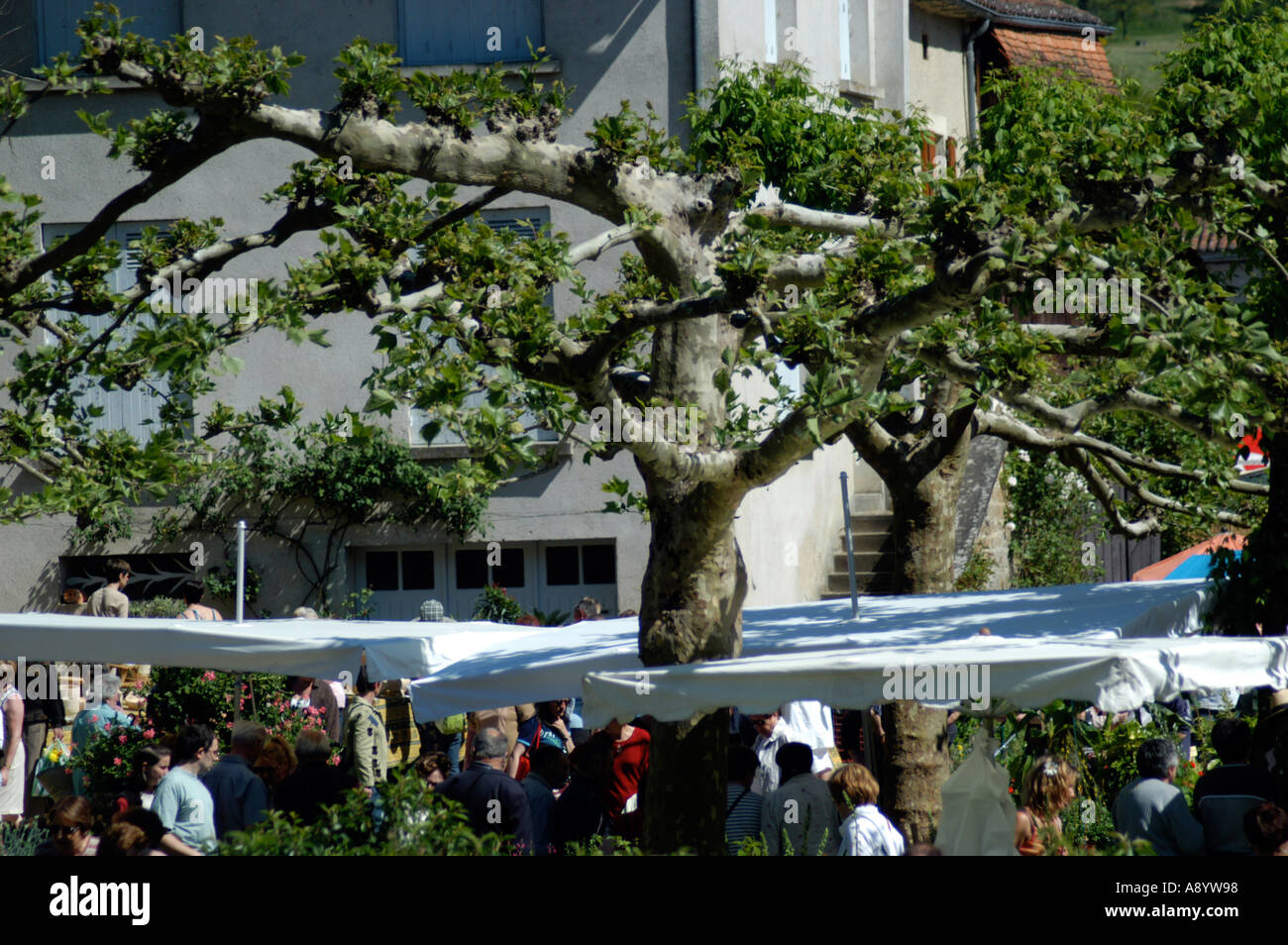 french flower and plant show and horticultural display in st jean de ...